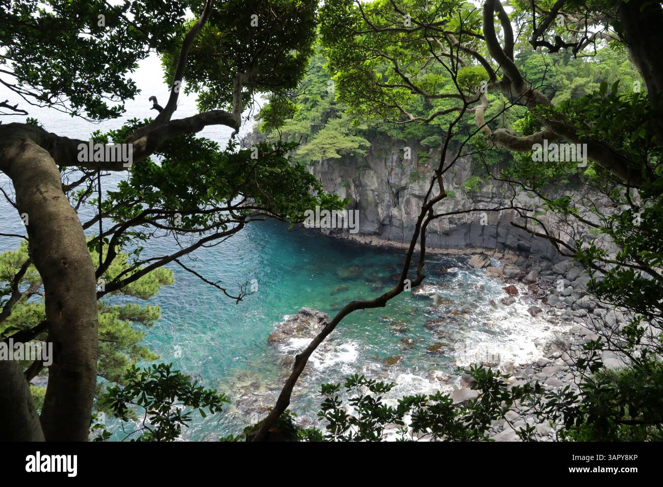 Japan coast rocks hi-res stock photography and images - Alamy
