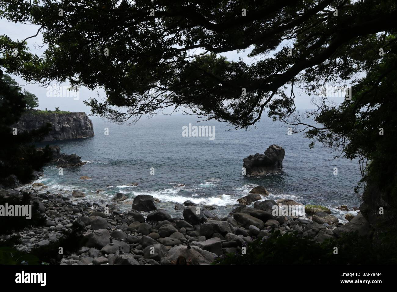 Jogasaki Coast, Izu Peninsula, Japan Stock Photo - Alamy