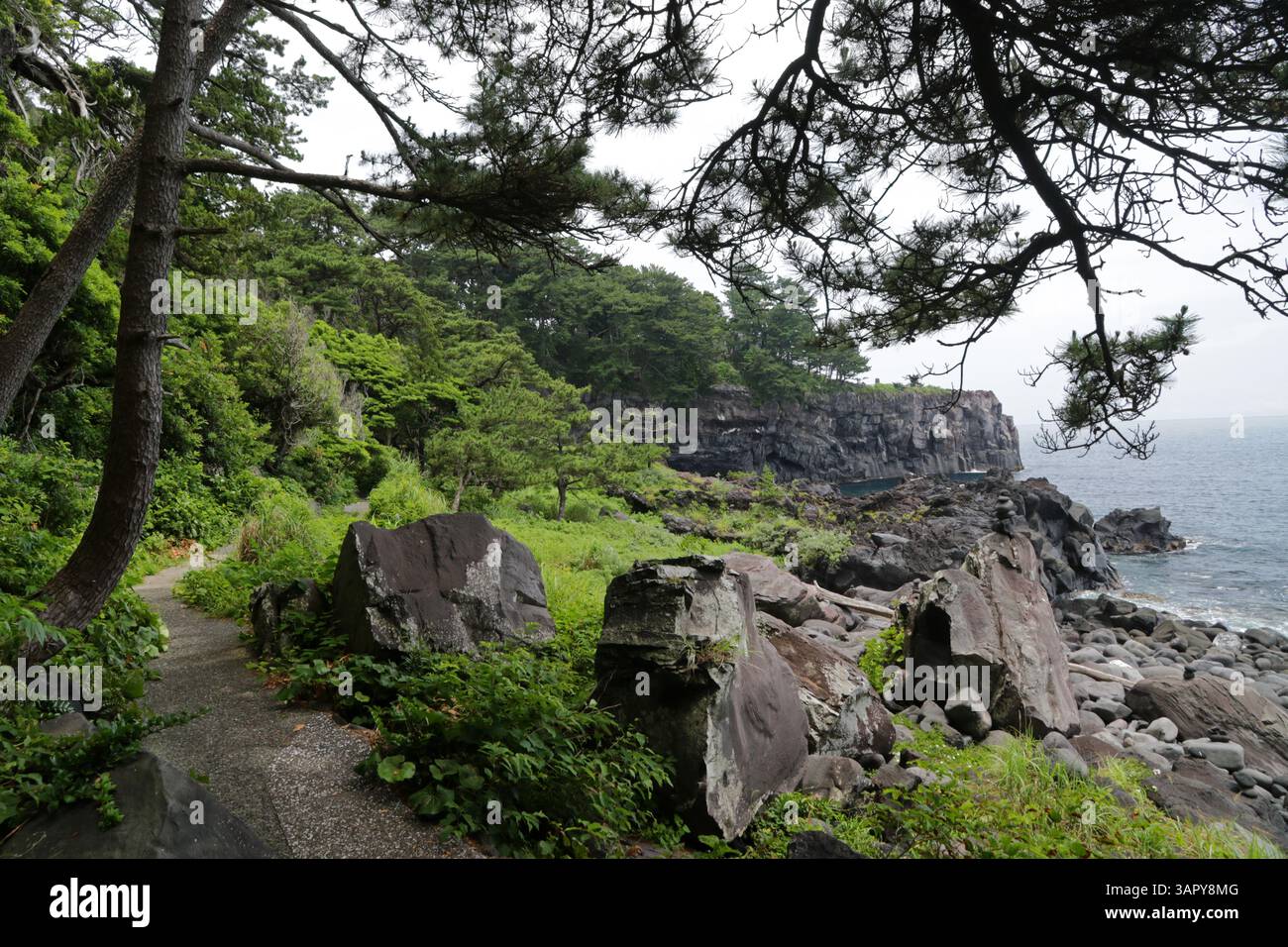 Jogasaki Coast, Izu Peninsula, Japan Stock Photo - Alamy