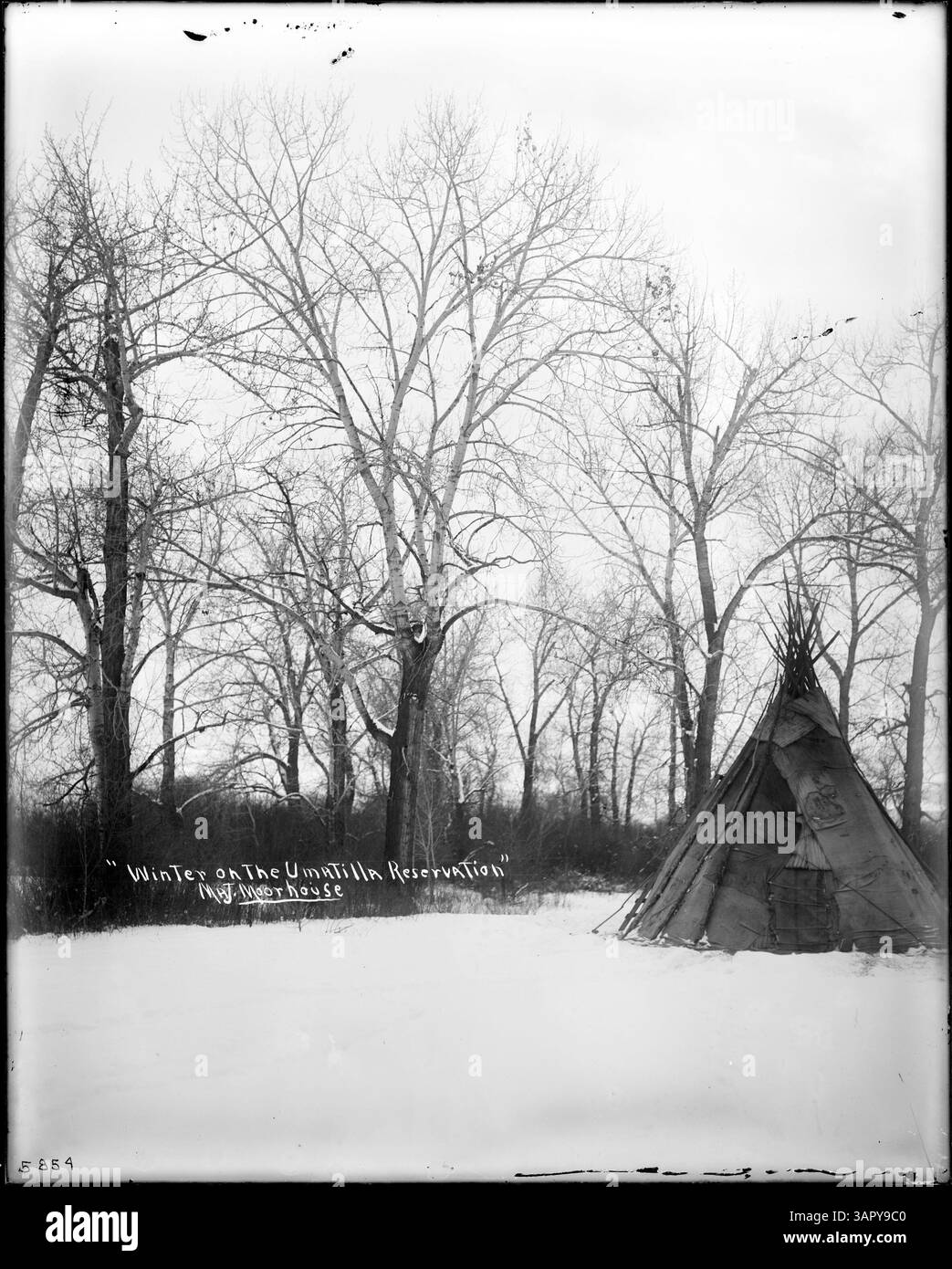Photograph documenting camps on the Umatilla Indian Reservation ...