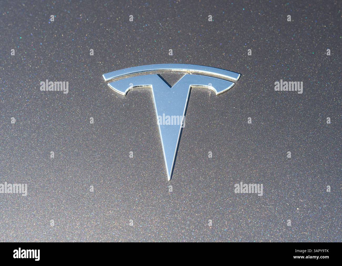 Tesla Emblem Displayed on Gray Electric Vehicle Stock Photo - Alamy