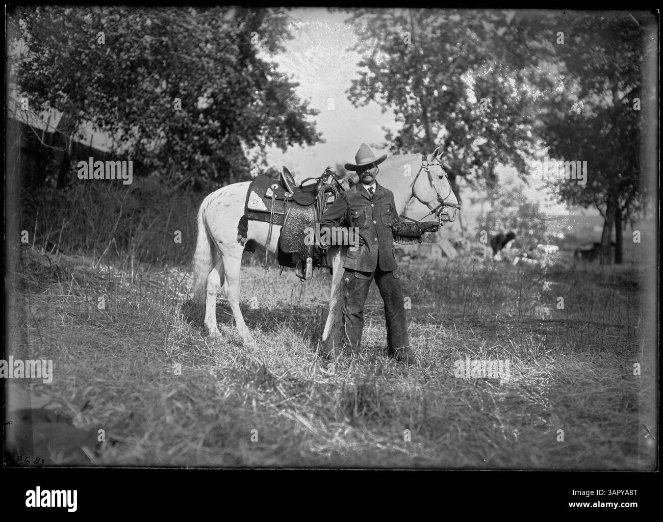 The image features Jim Taylor with a horse, capturing a historical ...