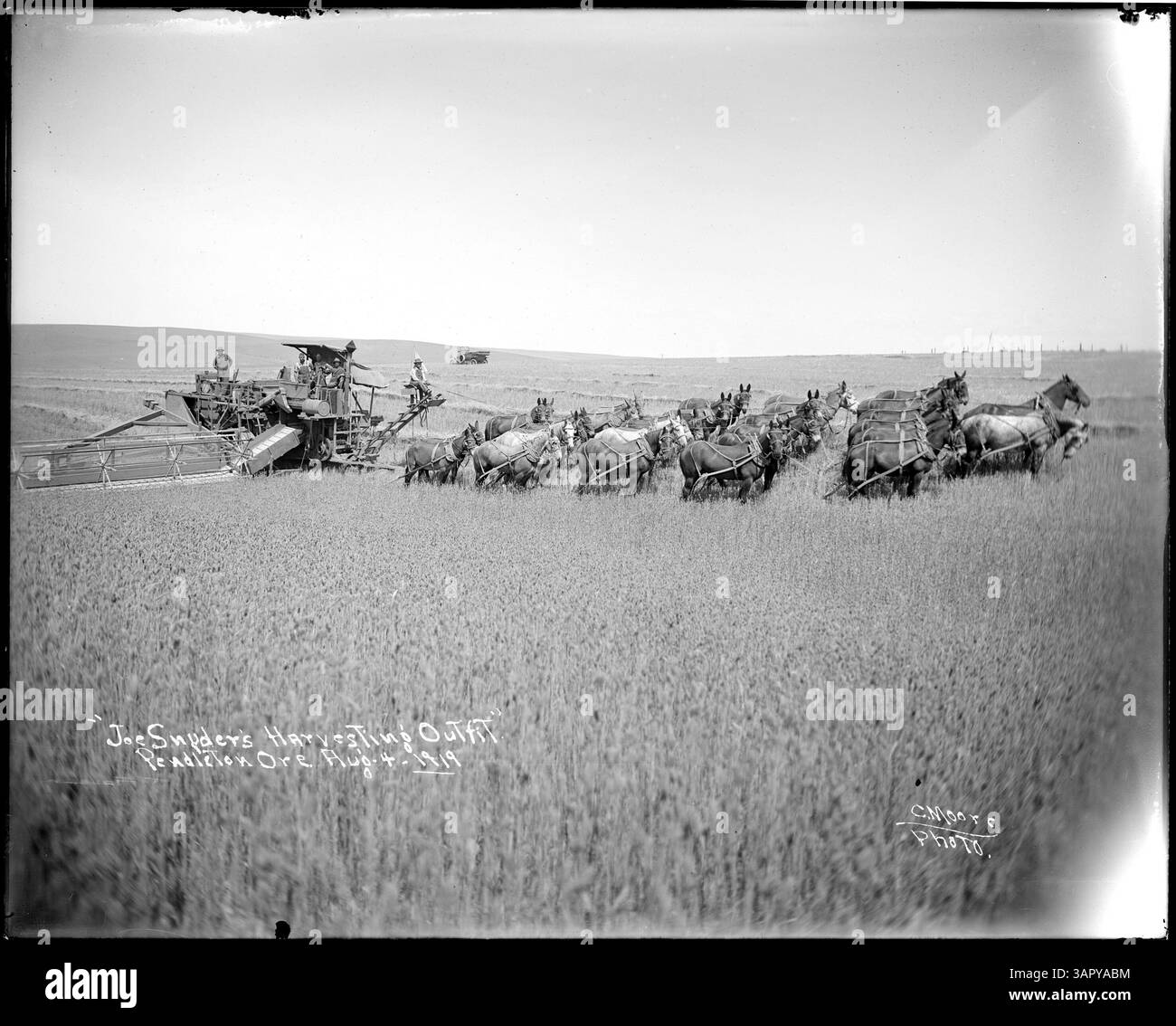 30 horse combine hi-res stock photography and images - Alamy