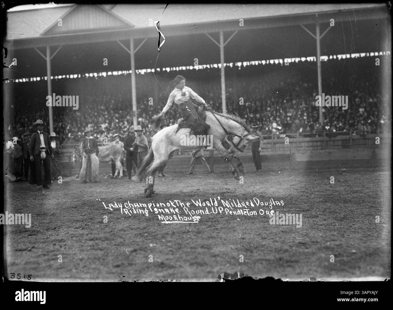 Mildred Douglas is photographed riding two bucking horses, Wildcat and ...