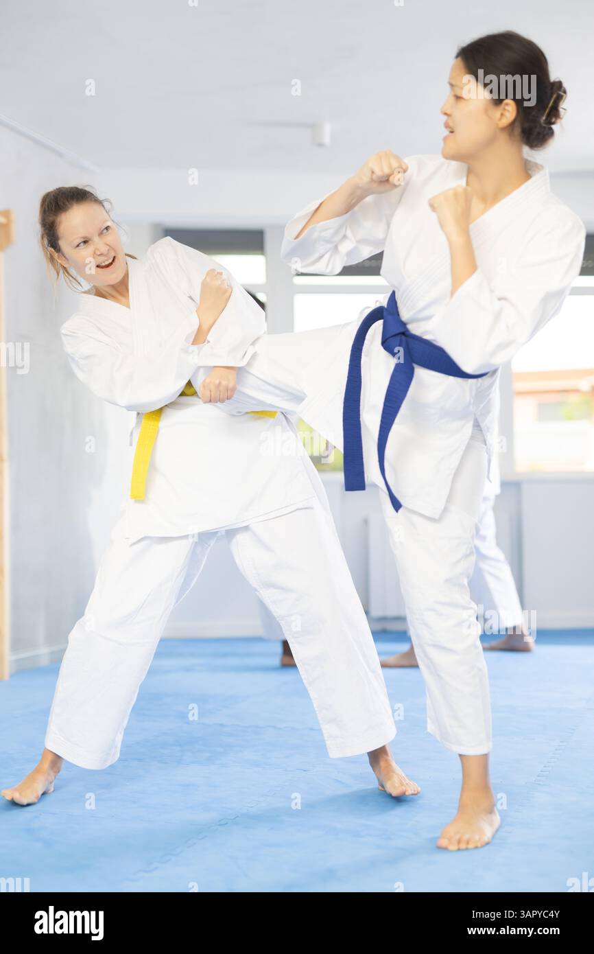 Karate with two female athletes practicing, training and sparring in ...