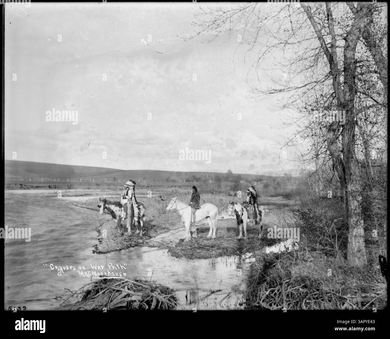 Cayuse indians hi-res stock photography and images - Alamy
