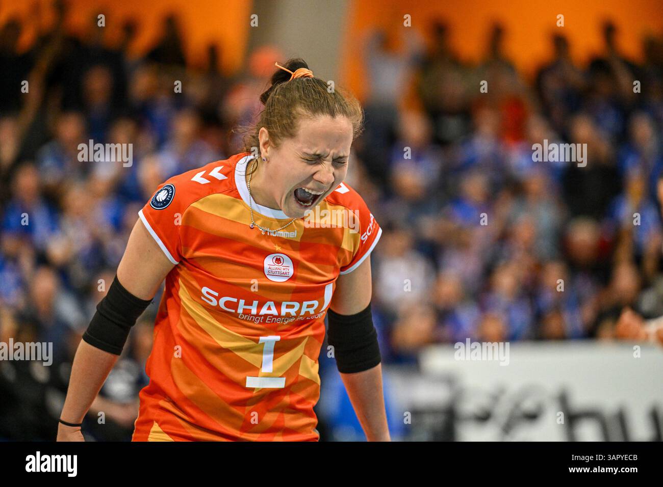 DVL, Volleyball, 1. Bundesliga, Damen, Saison 2024/25, Playoff ...