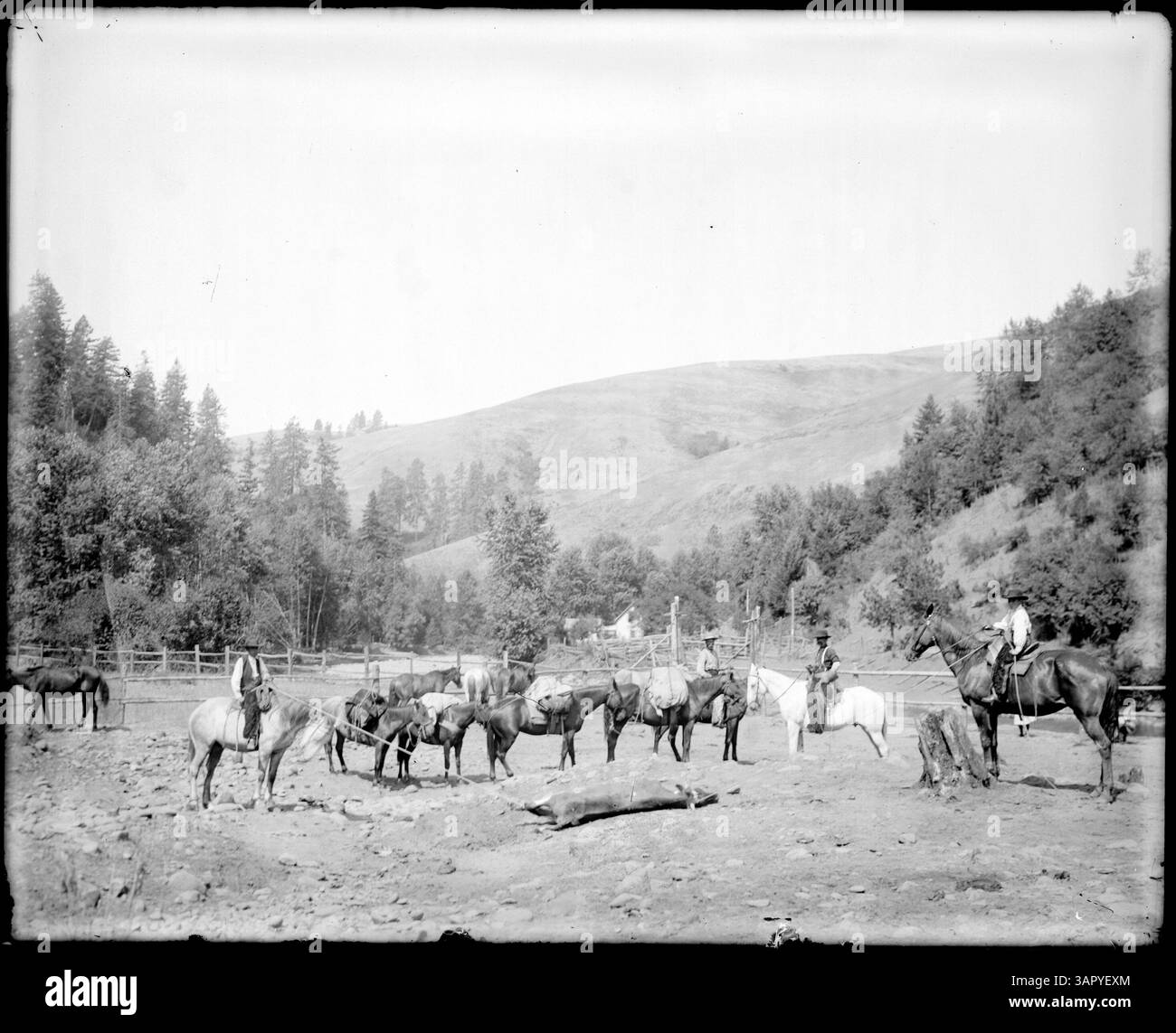 This photograph by Lee Moorhouse shows a scene at Cowboy Thompson's ...