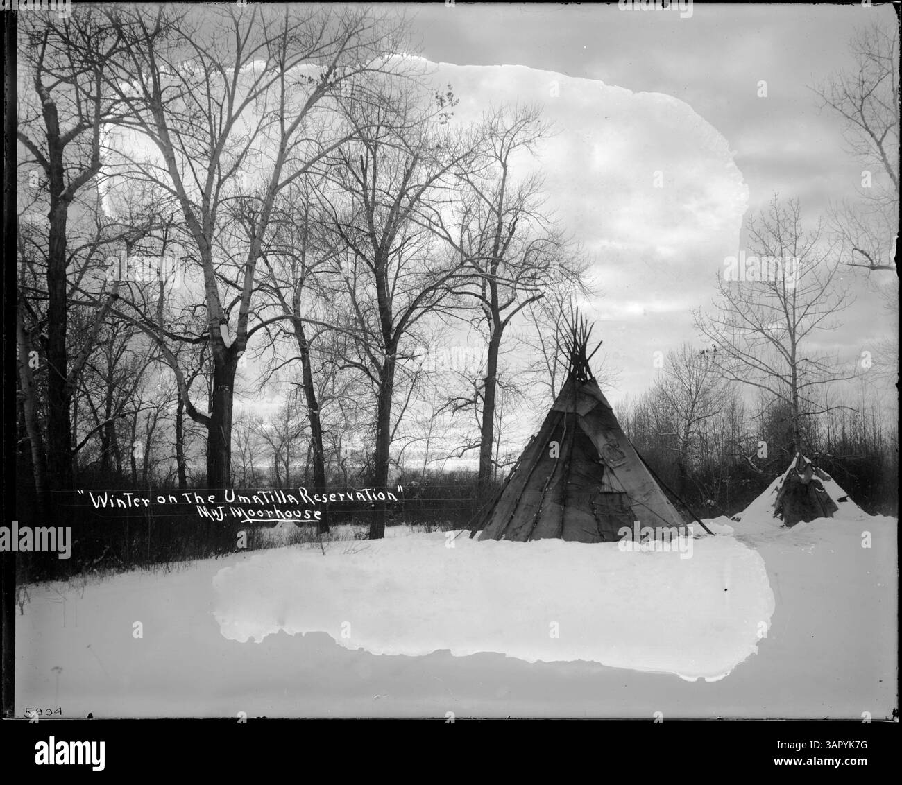 A photograph of camps on the Umatilla Indian Reservation, capturing ...