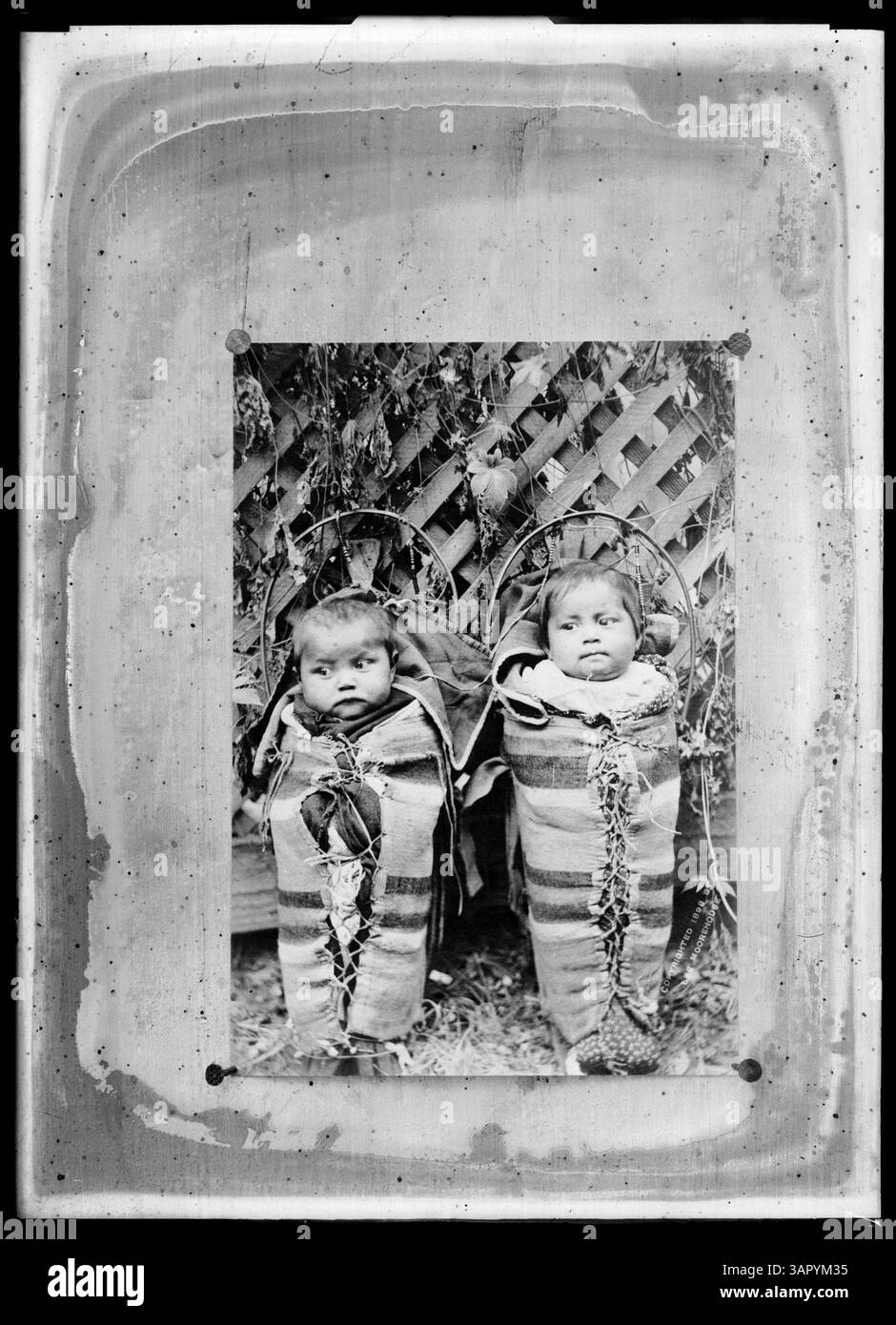 Photograph by Lee Moorhouse of Cayuse twins. The image captures the ...