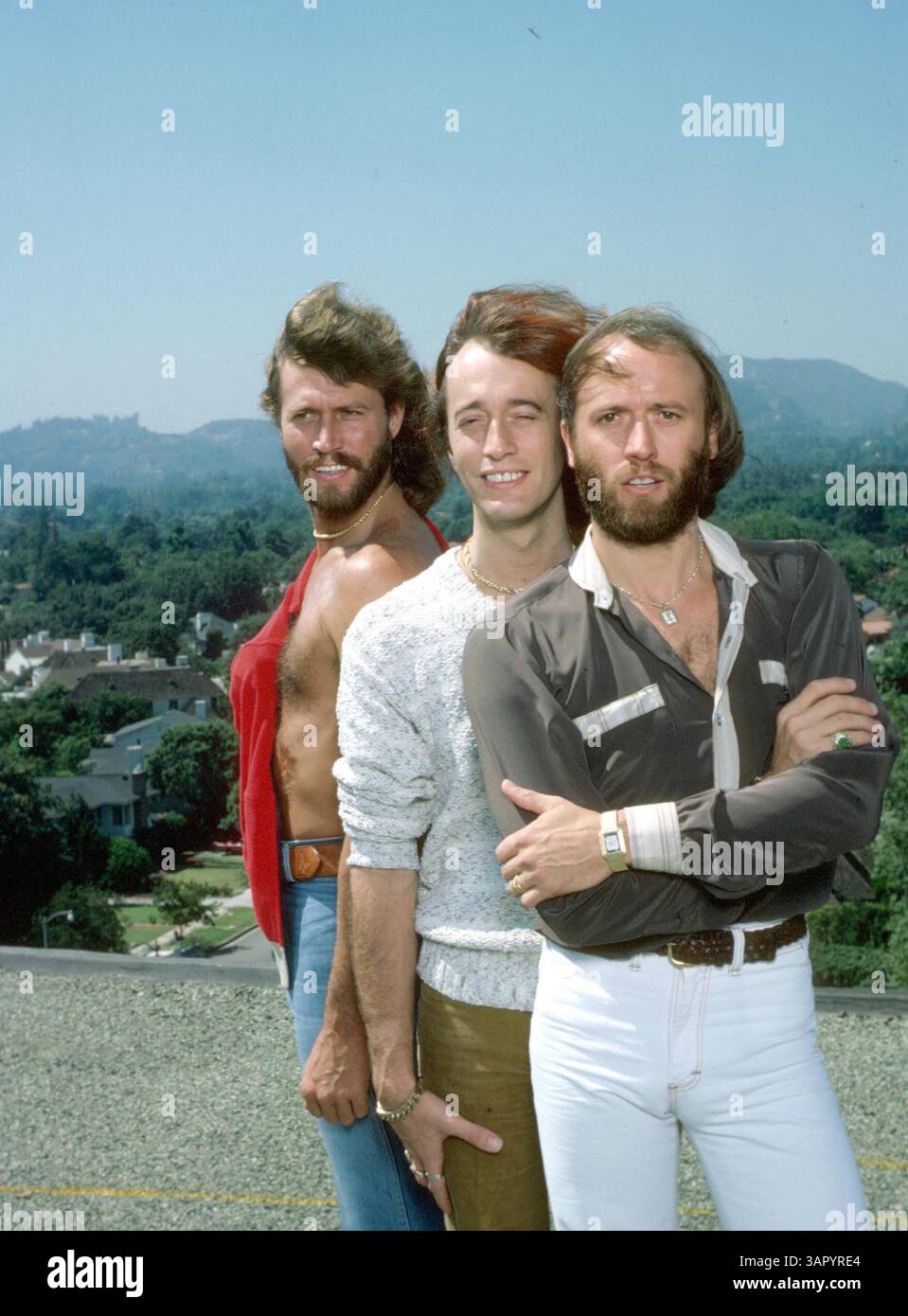 Jan. 1, 2011 - BEE GEES .BROTHERS MAURICE, ROBIN AND BARRY GIBB. BOB ...