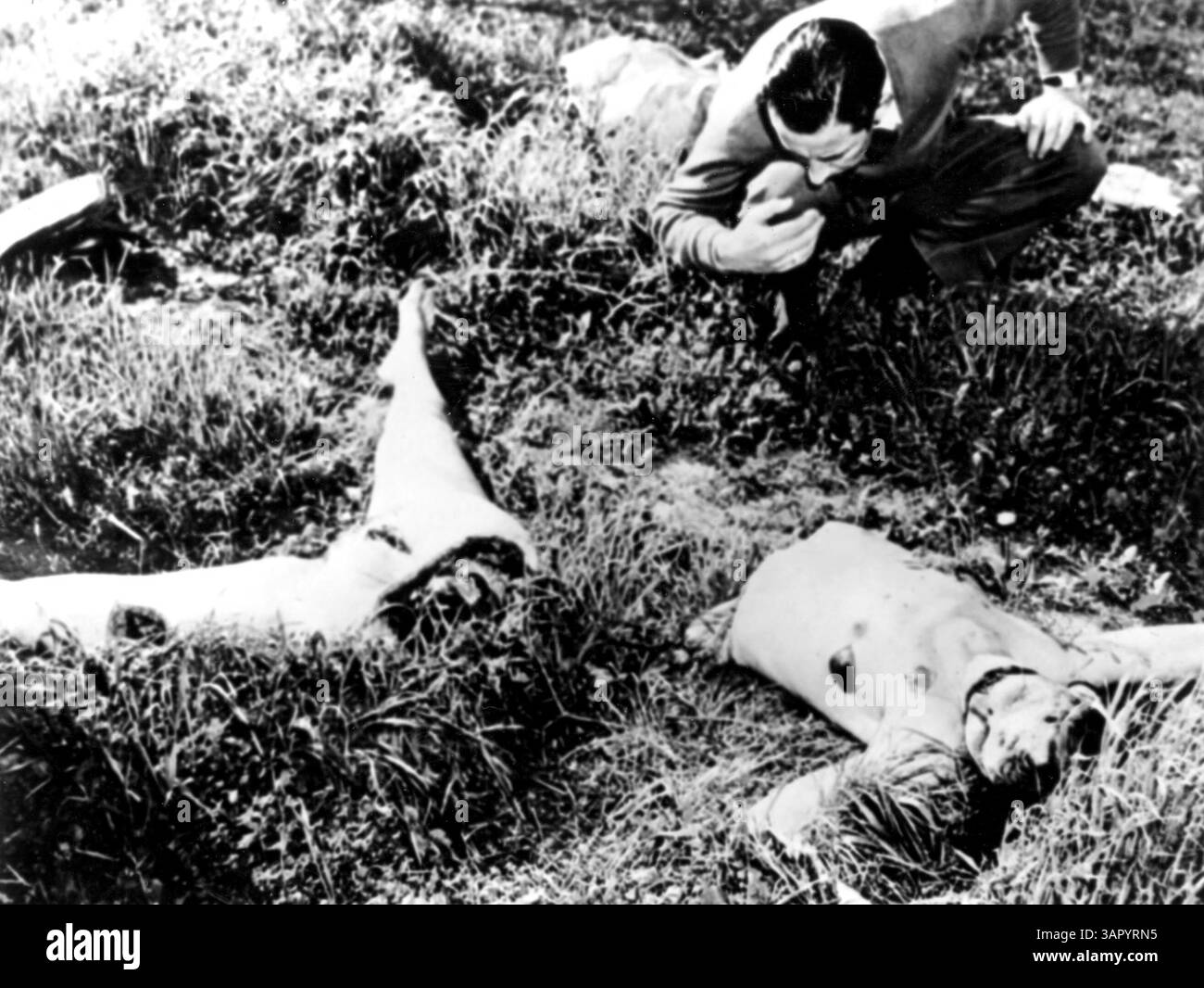 Elizabeth Short Murder Black And White Stock Photos Images Alamy
