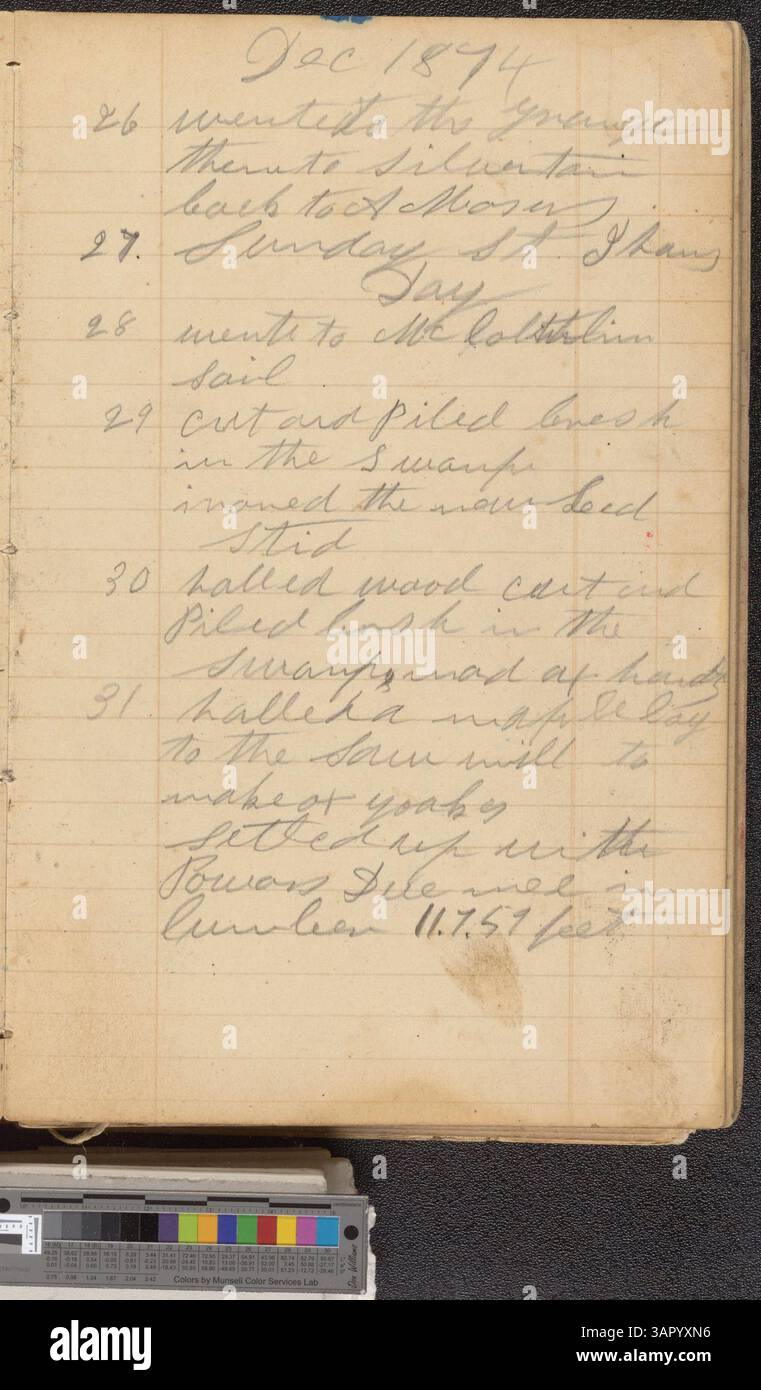A diary written from October 1873 to November 13, 1877, which includes ...