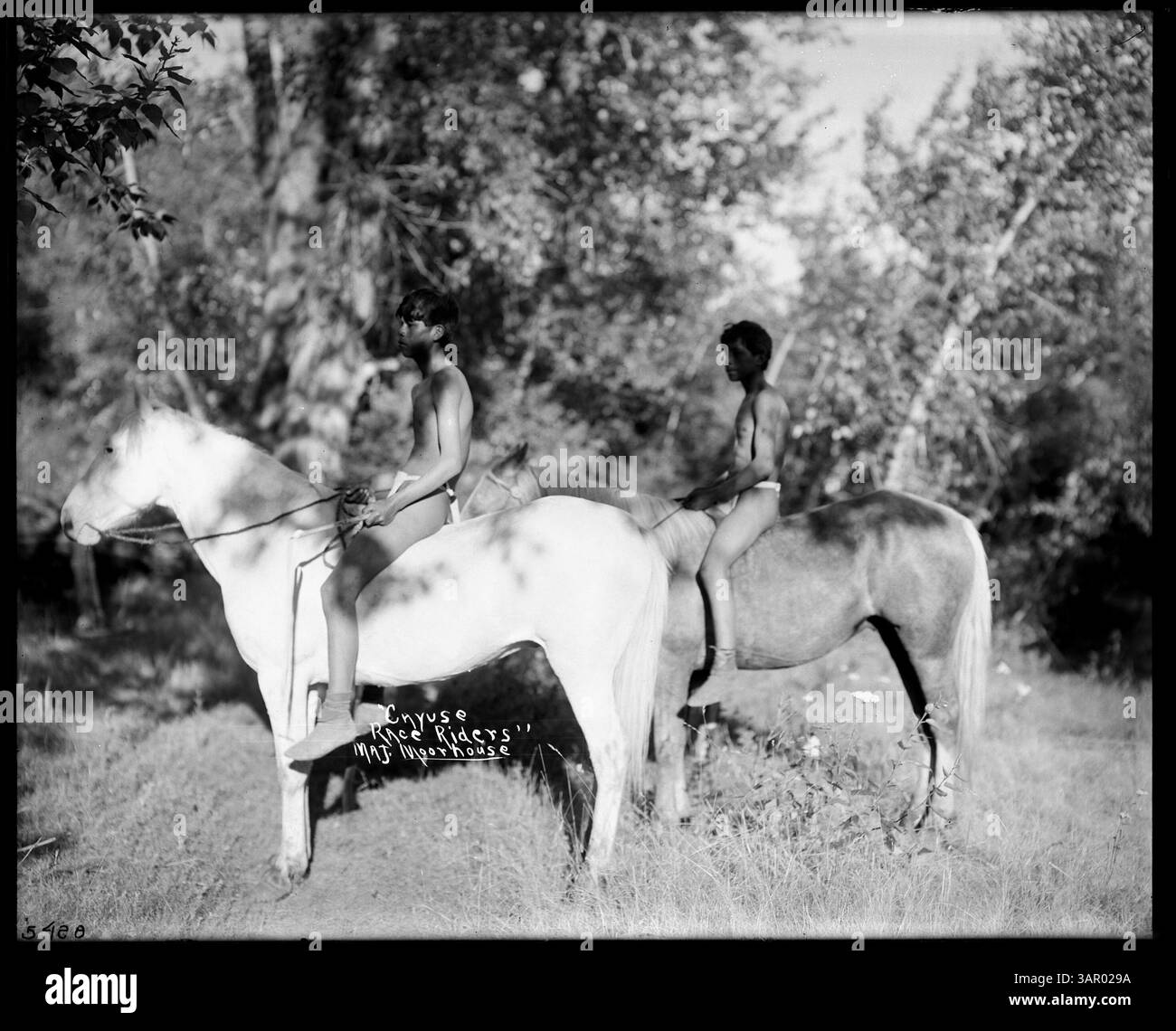 This photograph by Lee Moorhouse features Cayuse Indian boys preparing ...