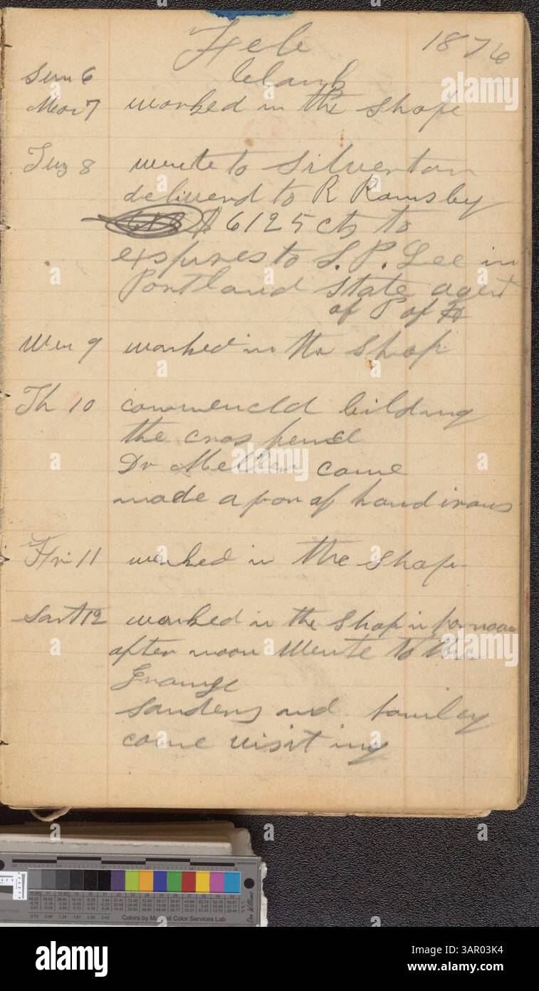 The diary from October 1873 to November 1877 includes daily activities ...