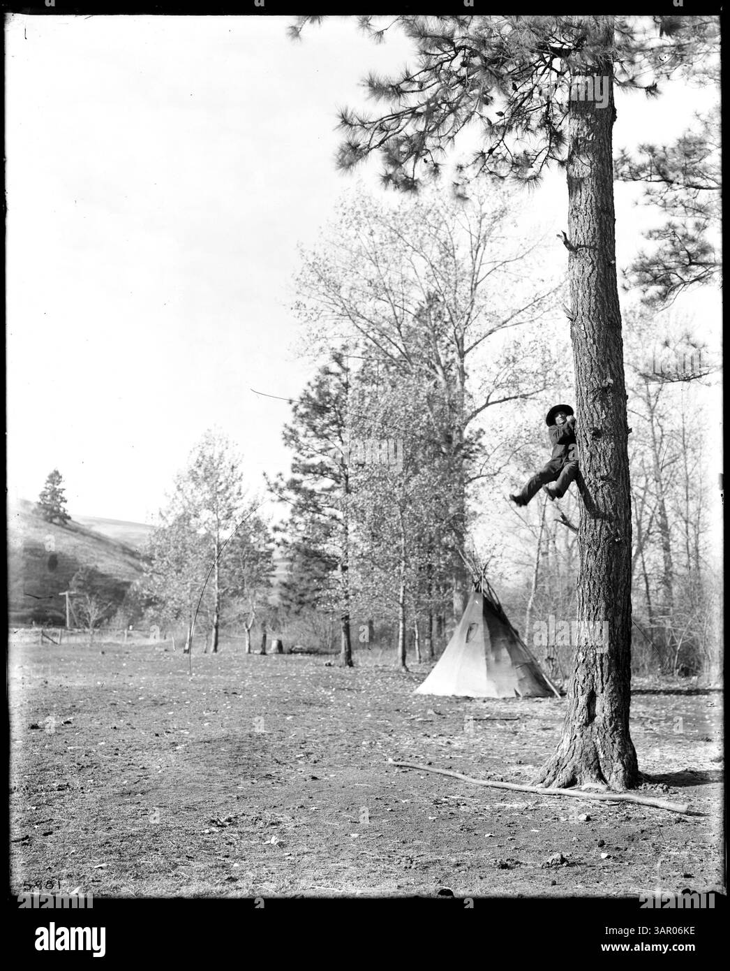 Photograph of a Native-American man wearing a suit sitting in a tree ...