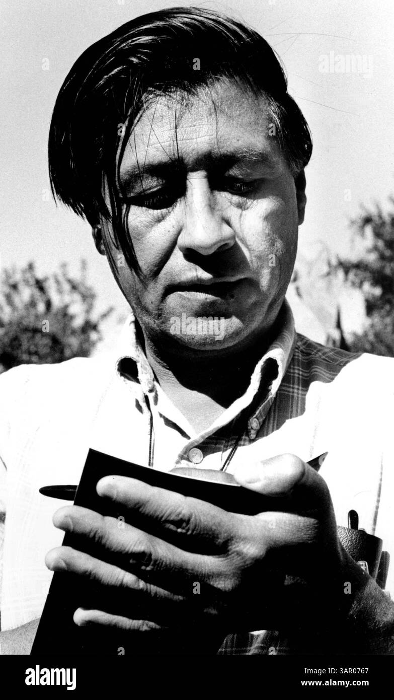 Cesar Chavez Farming