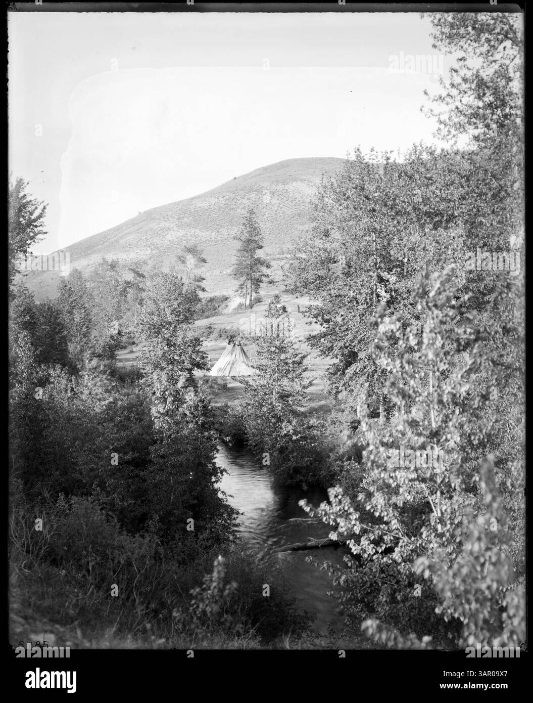 This photograph, PH036 5785, shows camps on the Umatilla Indian ...