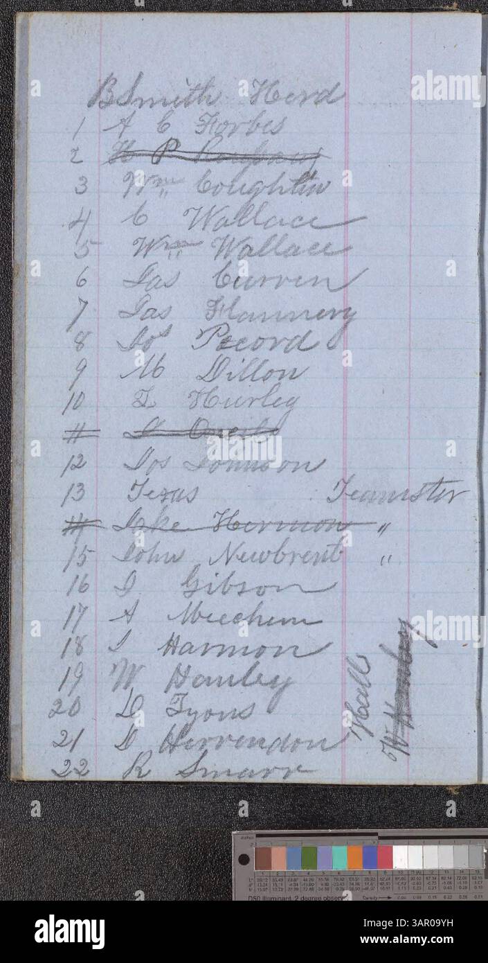 The diary provides a glimpse into daily life during 1868 and 1870 ...