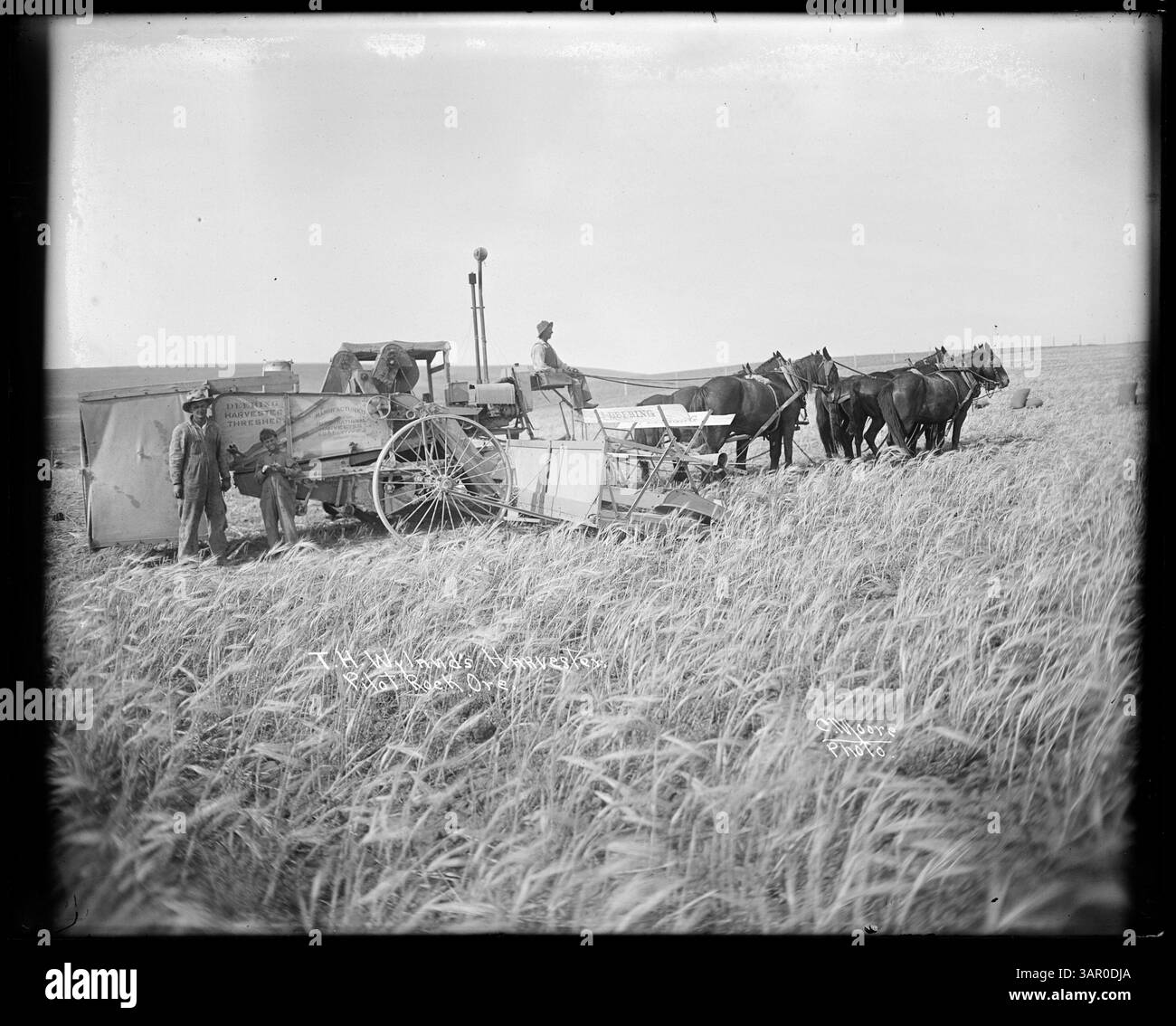 This photograph by Lee Moorhouse features T.H. Wyland's horse-drawn ...