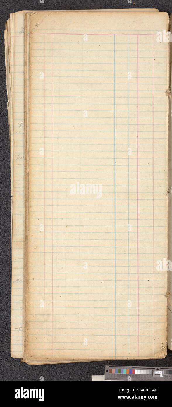 Spanning from January 8, 1866, to November 19, 1893, this diary ...