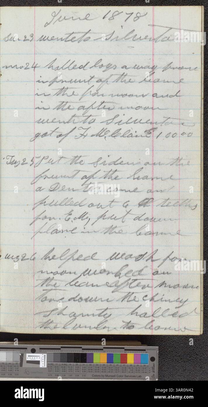 Entries in this diary from January 1, 1878, to April 14, 1879, document ...