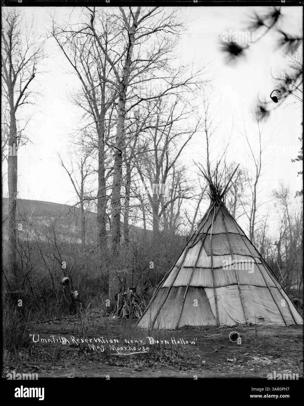 Photograph of camps on the Umatilla Indian Reservation near Thorn ...