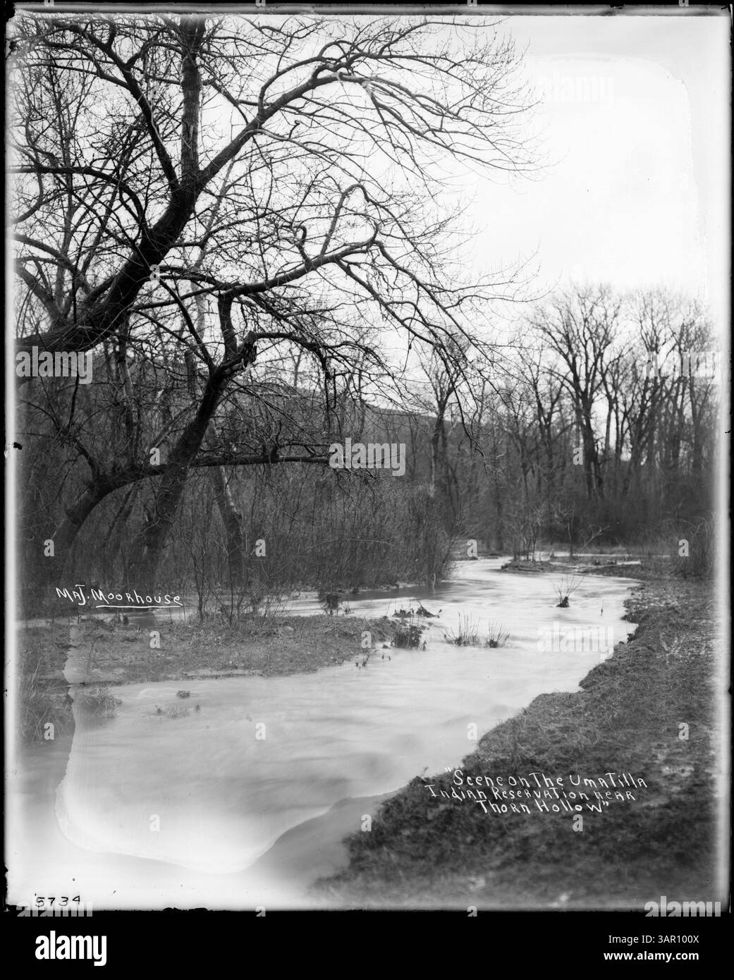 Photograph of the Umatilla Indian reservation near Thorn Hollow ...