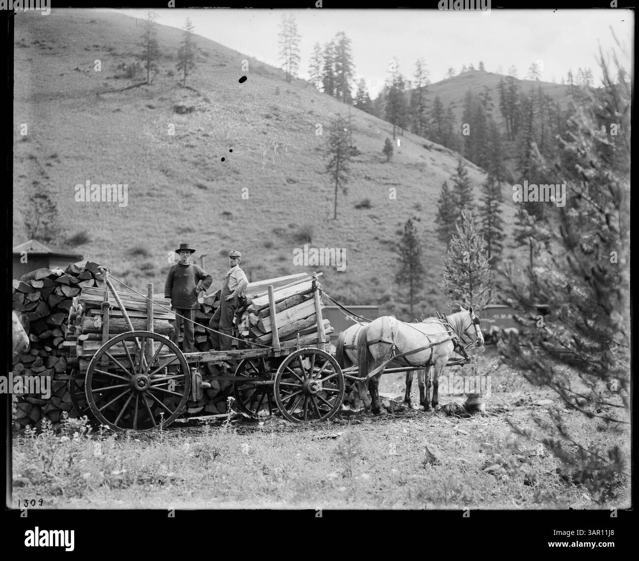 Photograph of two men standing in a wagon loaded with wood Stock Photo ...