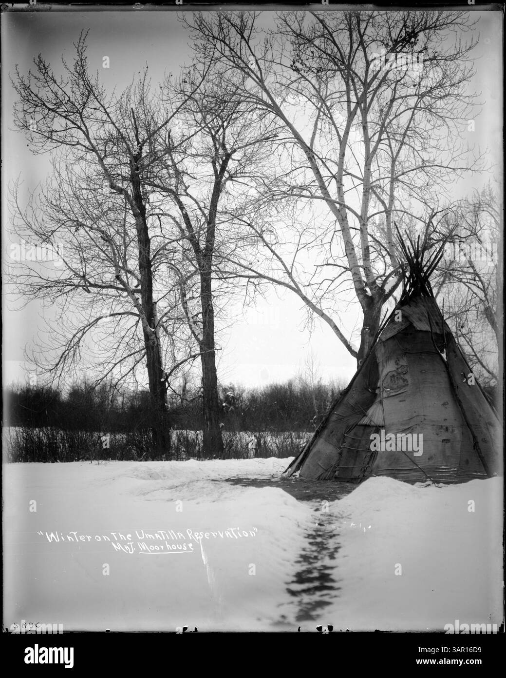 A photograph showing camps on the Umatilla Indian Reservation ...