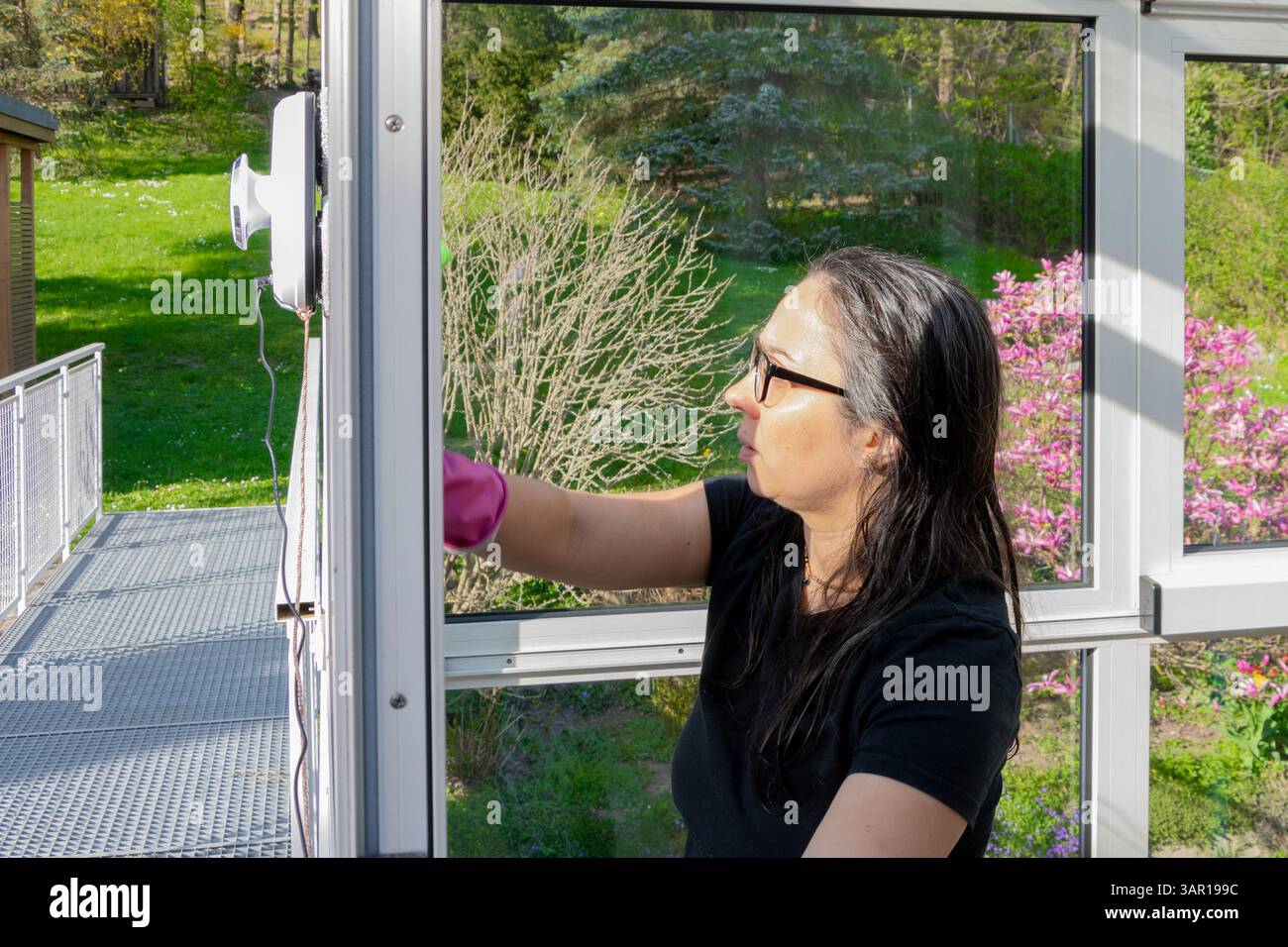 Professional window care at home Stock Photo - Alamy