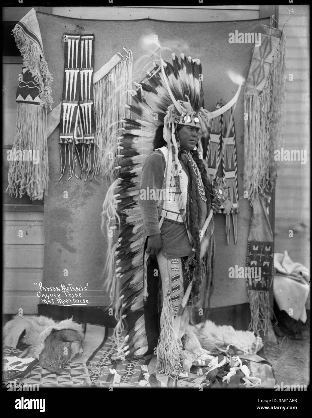 A photograph of Parson Motanic, a Cayuse Indian, wearing a war bonnet ...