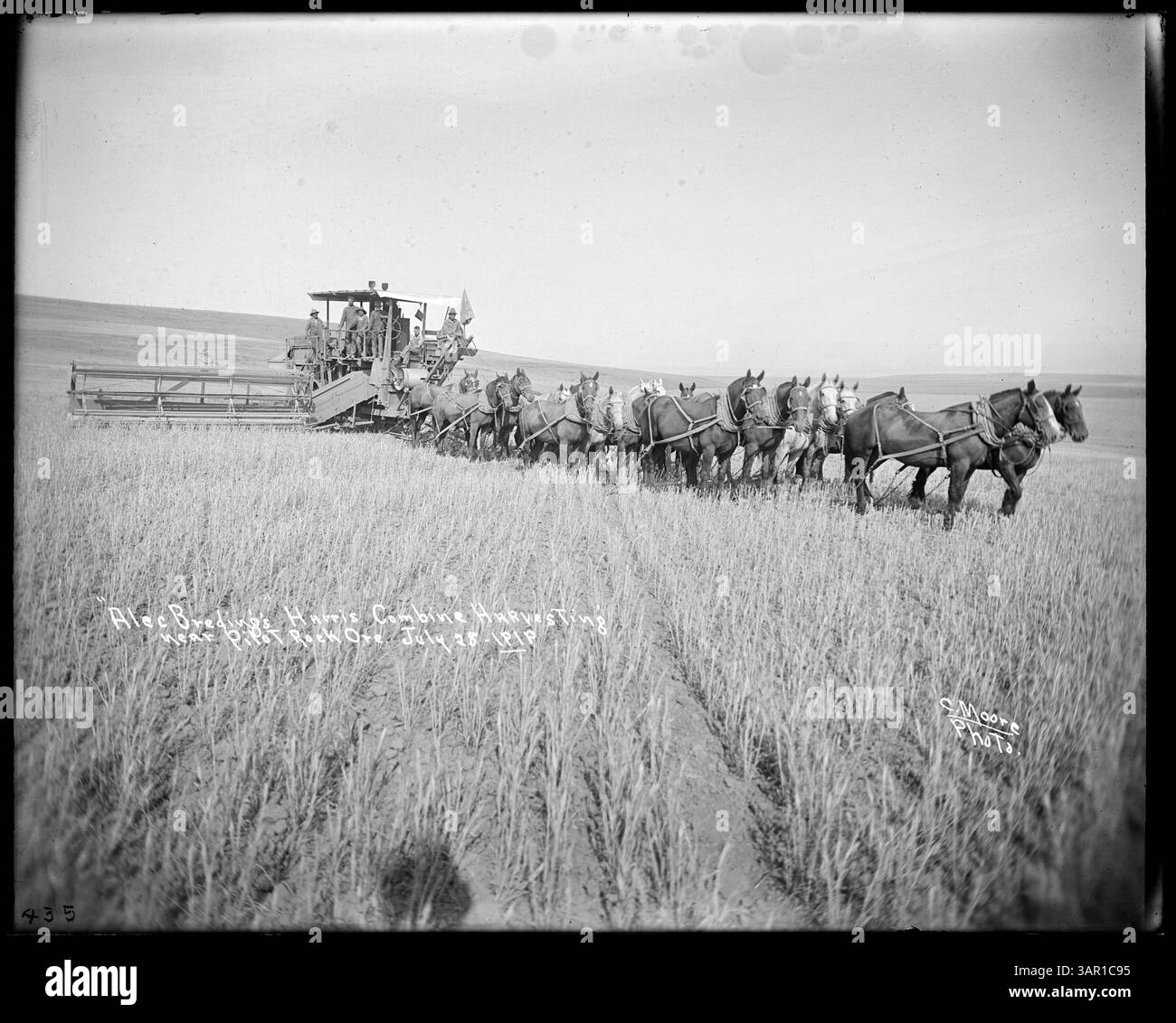 This photograph by Lee Moorhouse depicts Alec Breding's horse-drawn ...