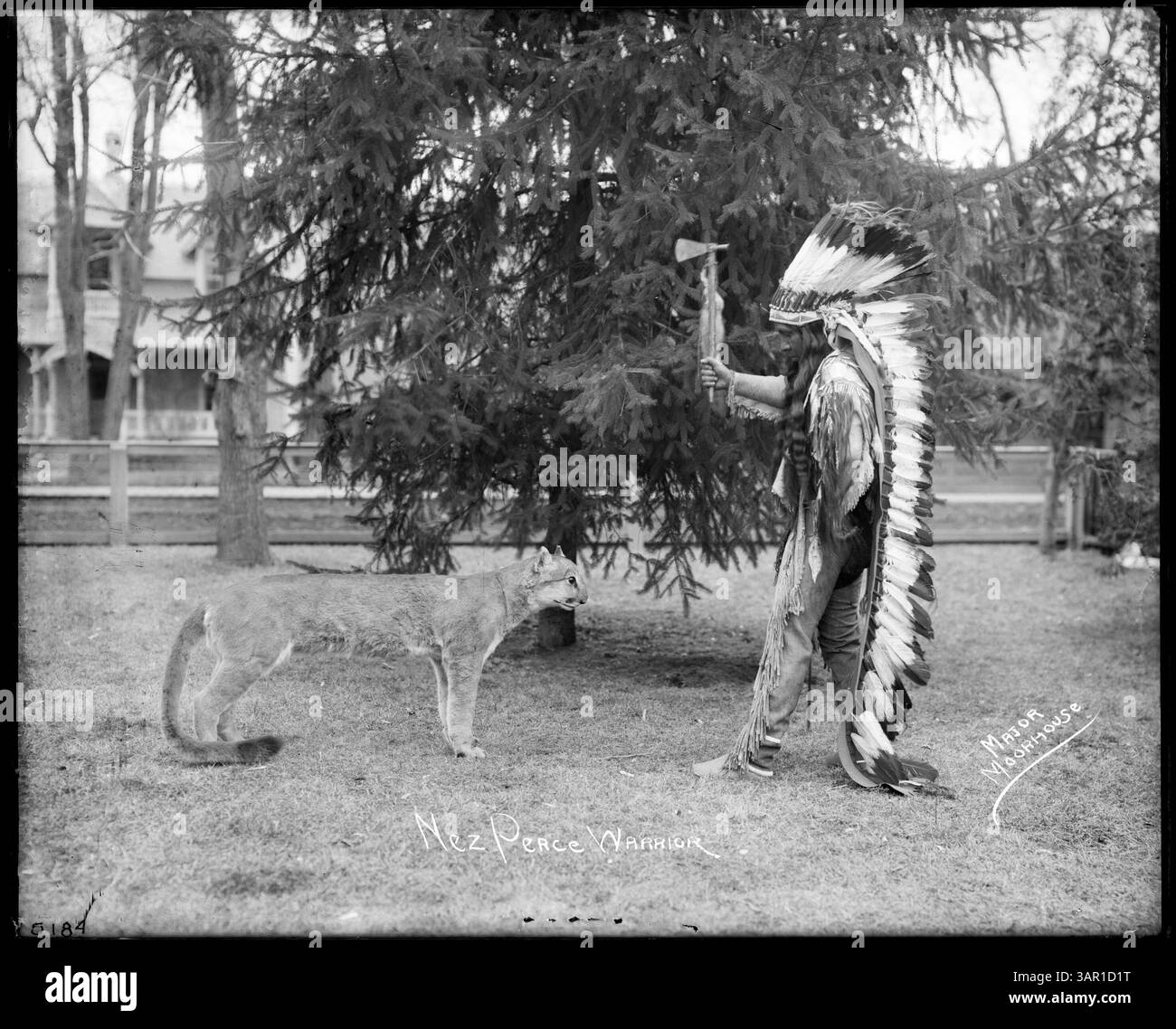 This Lee Moorhouse photograph captures a Nez Perce Indian wearing a war bonnet, with weapons ...