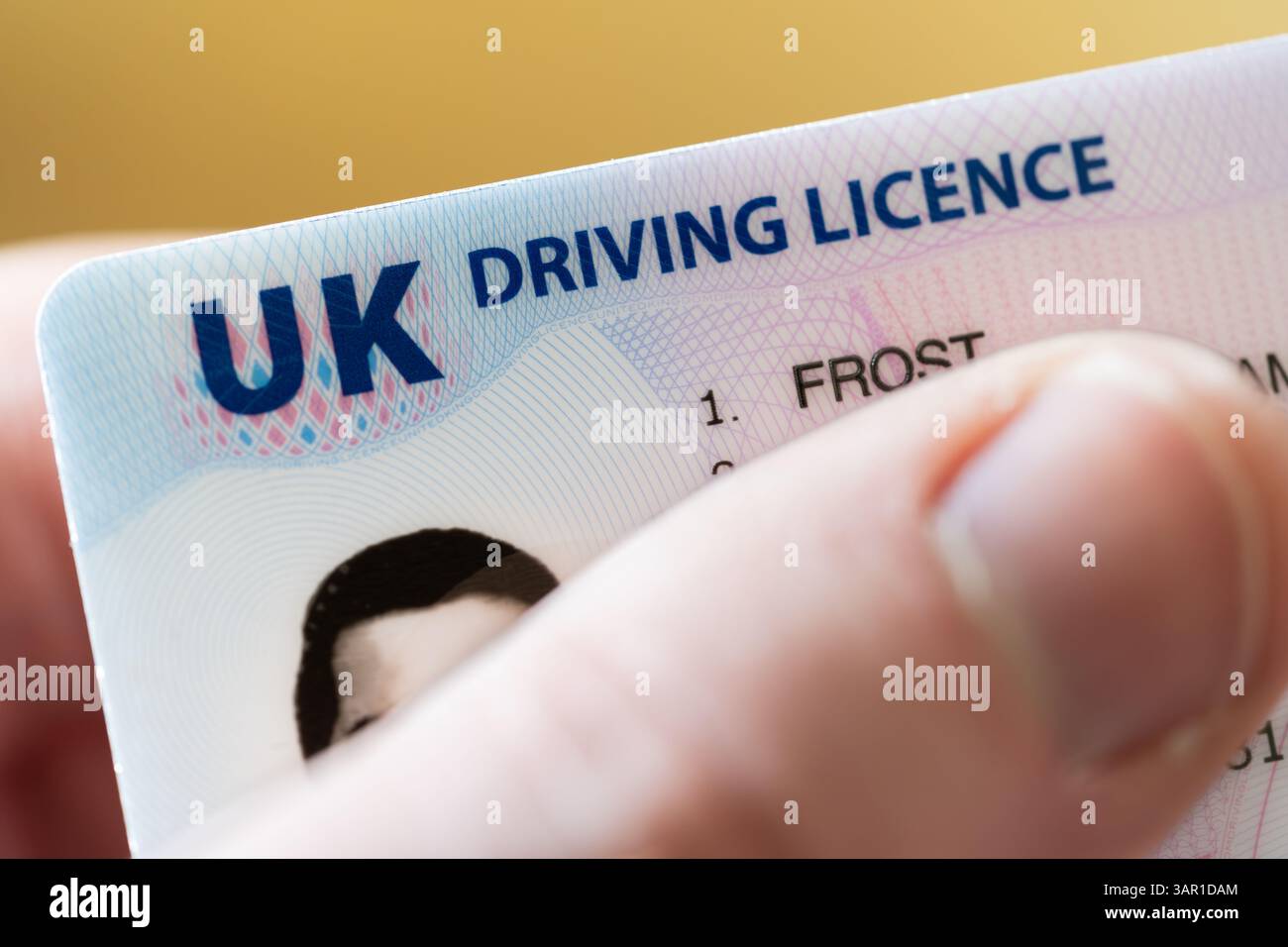 Closeup of the front of a Full UK photocard pink plastic card driving license. Concept: DVLA ...