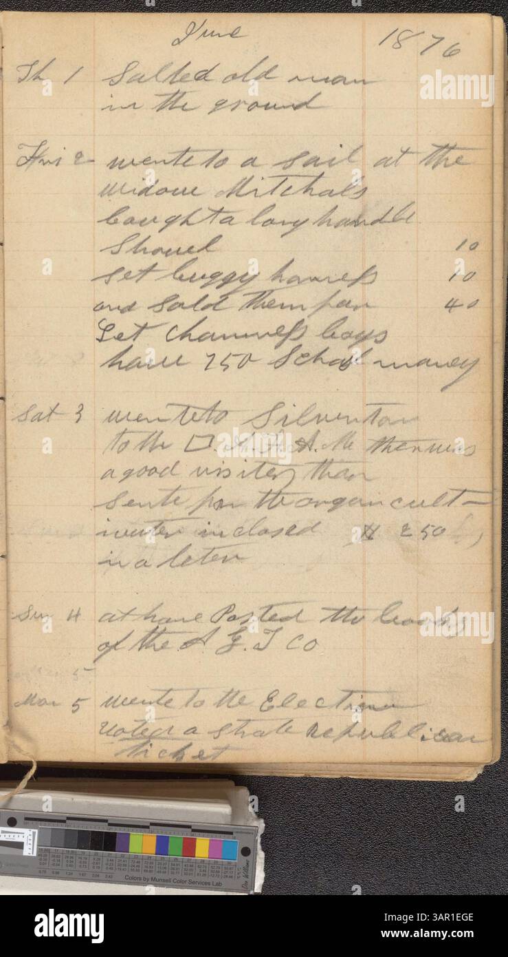 Diary entries from October 1873 to November 13, 1877, documenting daily ...