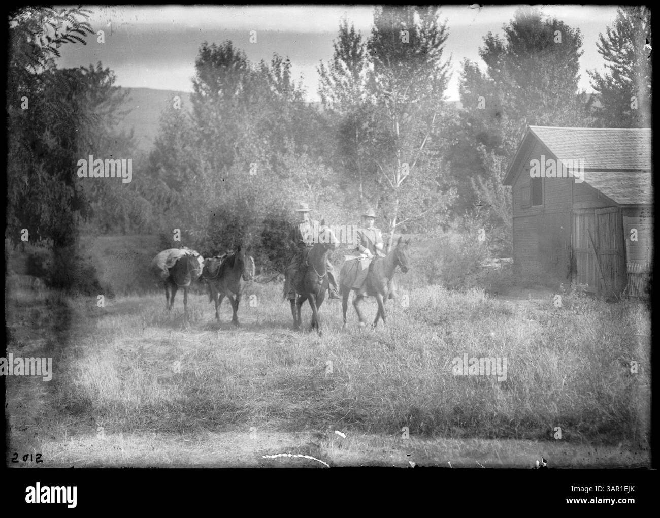 This photograph captures pack teams near Pendleton, Oregon, showcasing ...