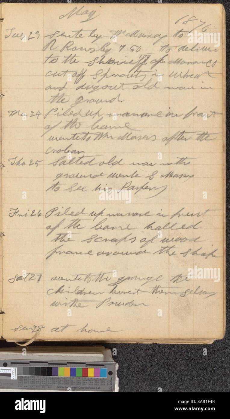 Diary entries from October 1873 to November 13, 1877, detailing daily ...