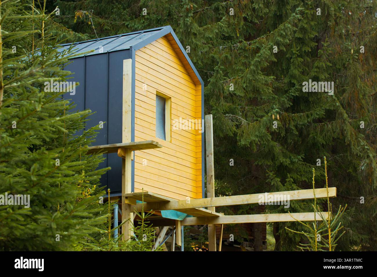 A modern cabin with wooden siding stands in a lush forest, blending ...
