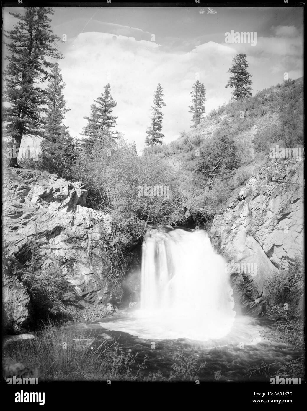 A photograph from the Lee Moorhouse collection showing the Nespelem ...