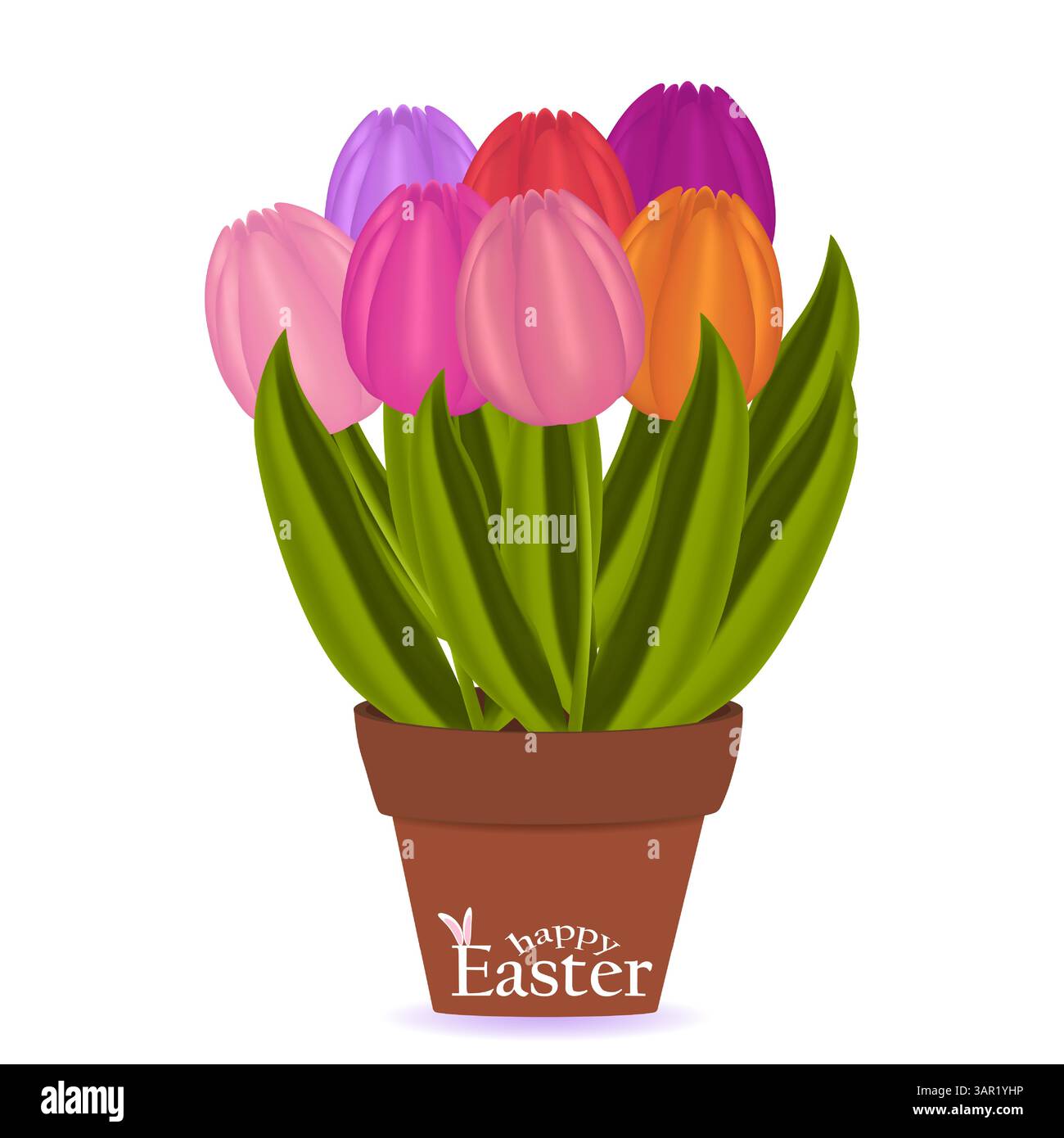 Tulips in flowers pot Stock Vector Images - Alamy