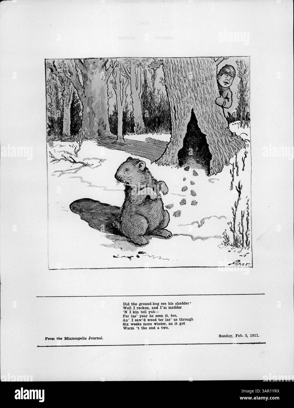 A boy watches a groundhog searching for its shadow, observing the ...