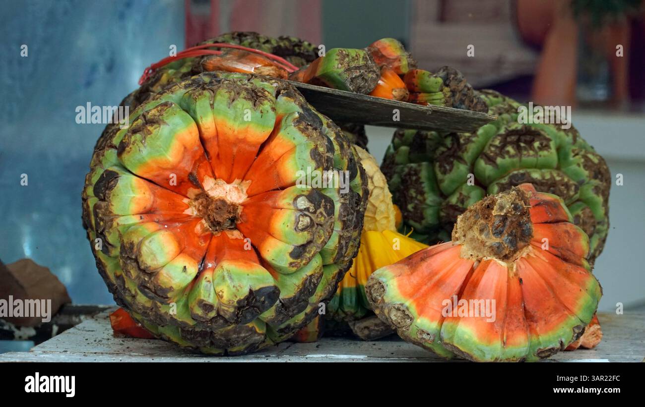 exotic ripe screw pine fruit on the maldives Stock Photo - Alamy