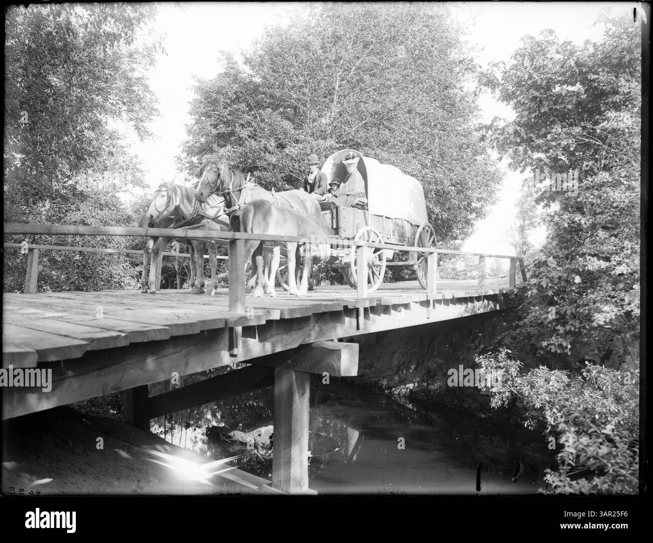 A photograph of horse-drawn vehicles, including buggies and wagons ...