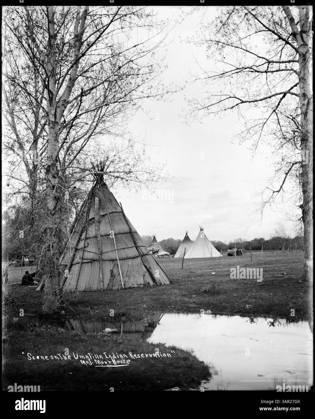 Photograph documenting camps on the Umatilla Indian Reservation ...