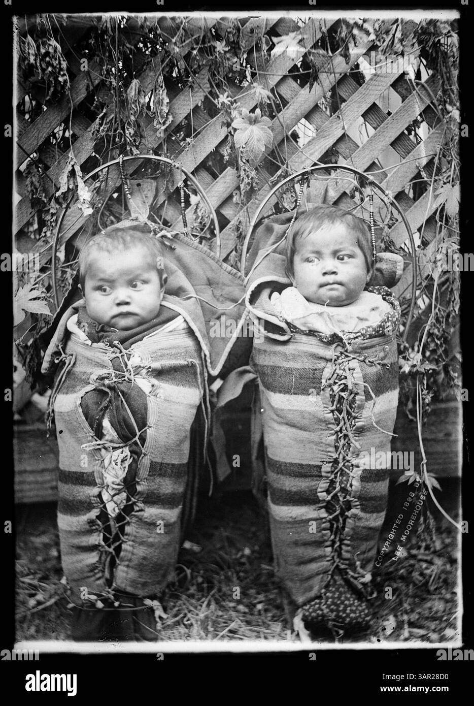 Photograph of Cayuse twins, showcasing the identity and heritage of the ...