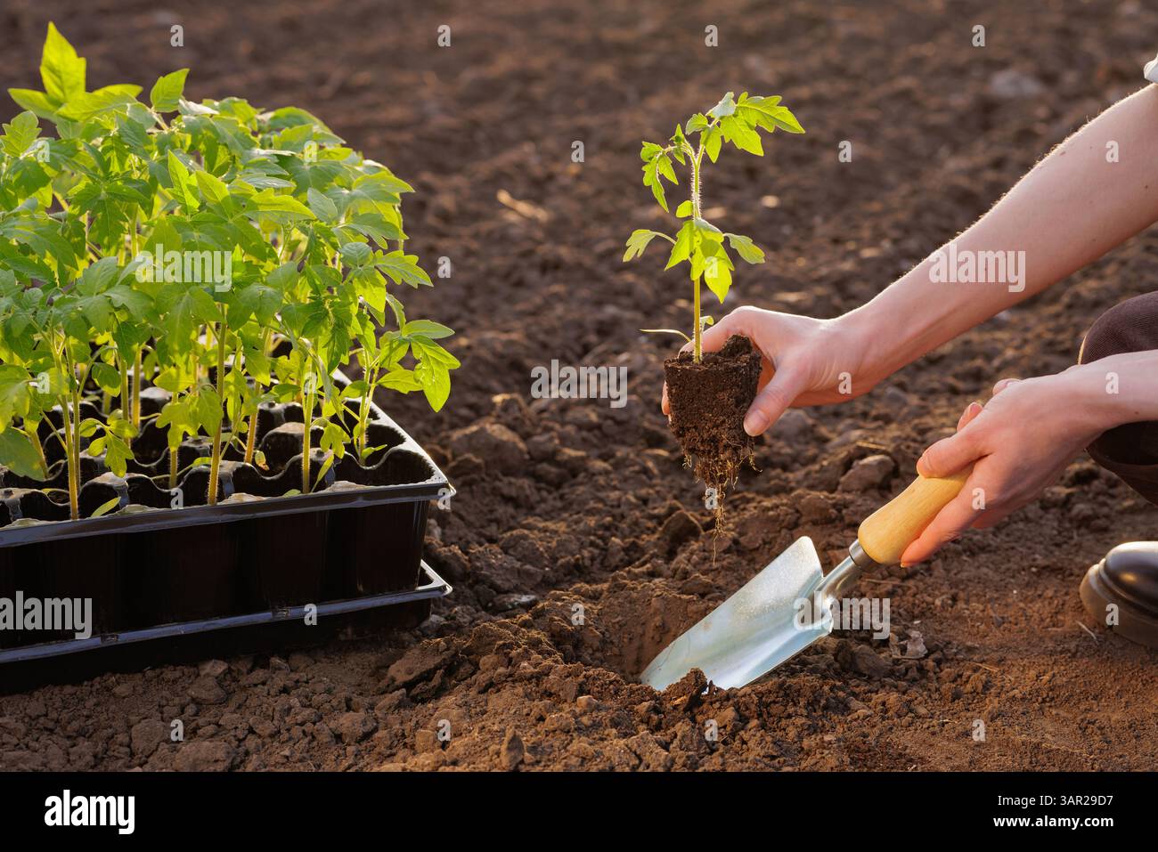 Shoveltool hi-res stock photography and images - Alamy