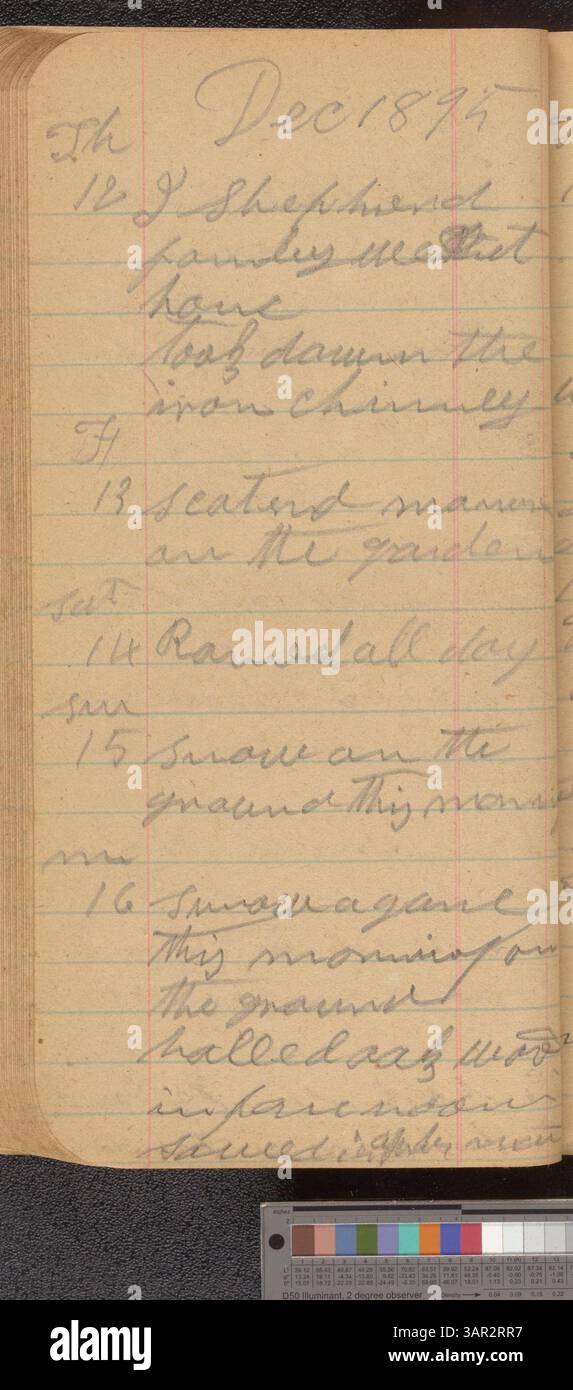 Diary entries from 1894-1897, documenting daily activities, financial ...