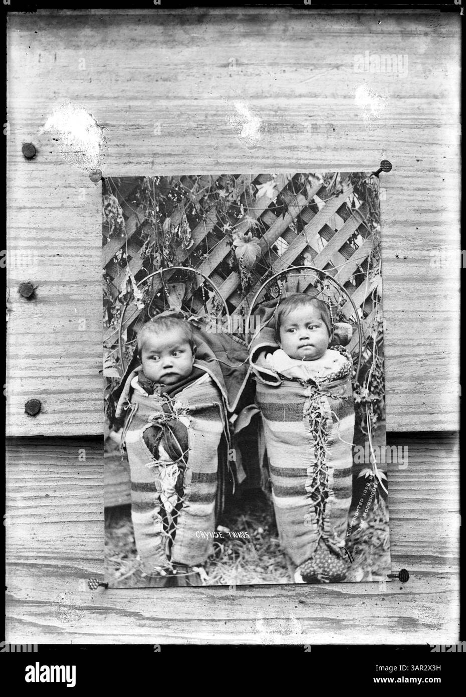 Photograph of the Cayuse twins, depicting the individuals in ...