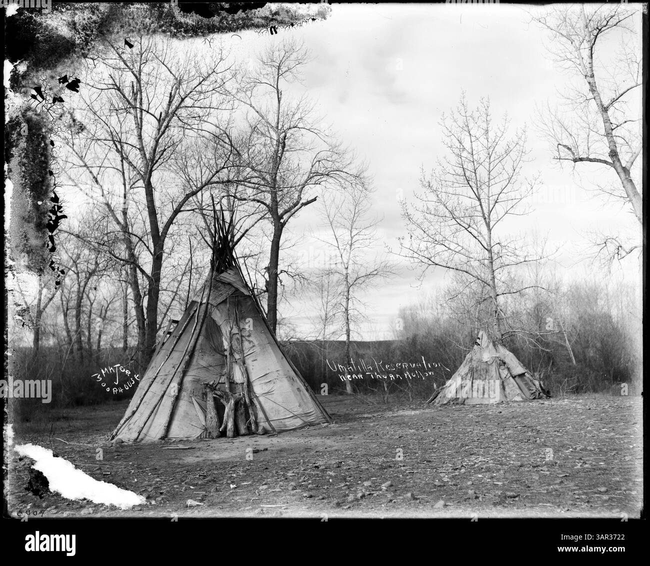 This photograph captures camps on the Umatilla Indian Reservation, near ...